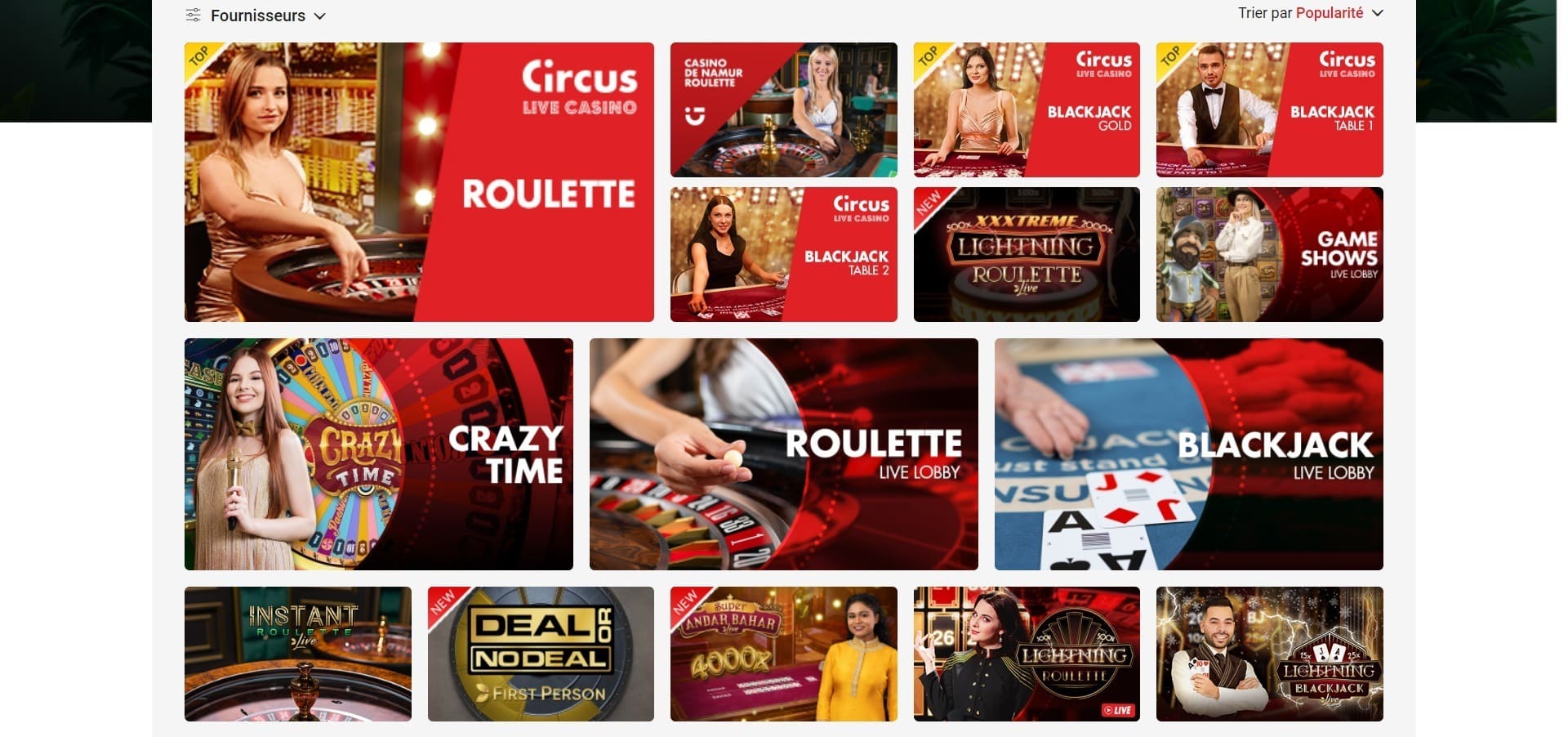 Circus Casino FR - machines à sous et jeux en ligne, options de paiement et contacts support client